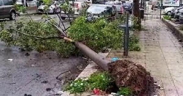 Vento a 95 chilometri all'ora e forti piogge, domani a Palermo chiusi ...