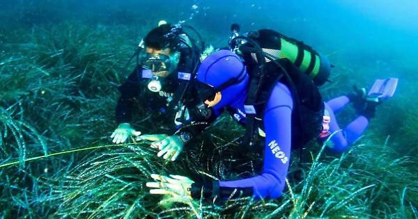 I siti archeologici subacquei accessibili anche ai non vedenti: il ...