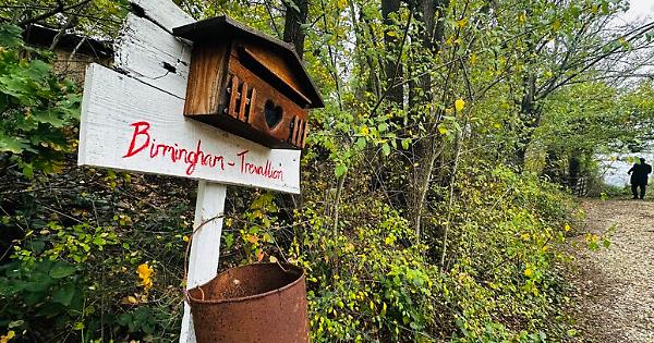 Il legale della famiglia che vive nel bosco, «Bambini scossi ma sono ...