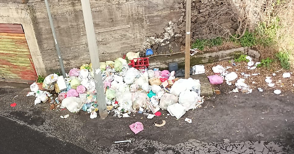 Discarica a cielo aperto in via Torricelli: emergenza igienico ...