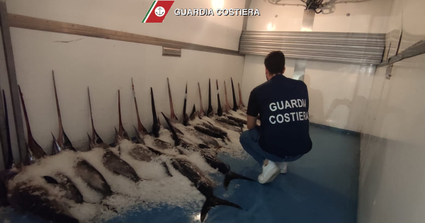Stretta sul pesce illegale in Sicilia orientale, maxi blitz in mare e a ...