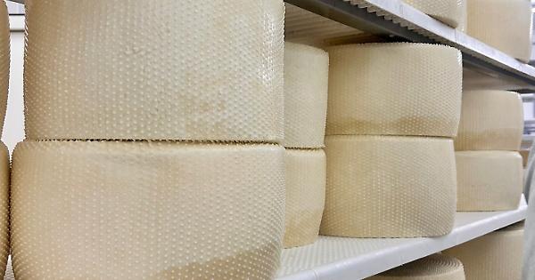 Dalla ricotta alla cagliata, ode al formaggio alla Sagra del Quisquina ...