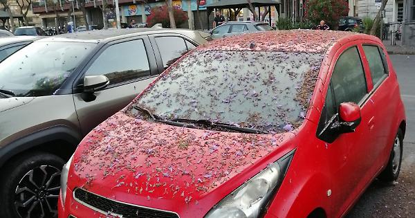 Piazza Cavour, il salotto del Borgo soffocato da rifiuti e inciviltà ...