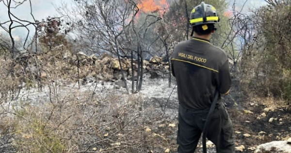 Ragusa in movimento: "Sdegno e preoccupazione per i continui incendi ...